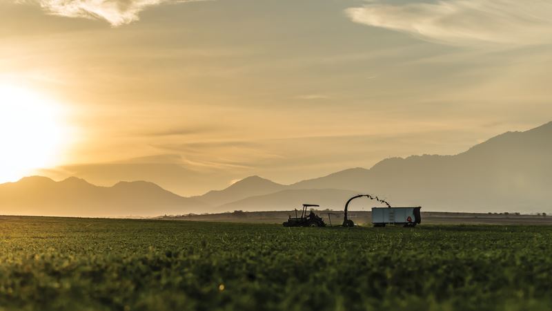 About NUTRILITE | Amway of South Africa