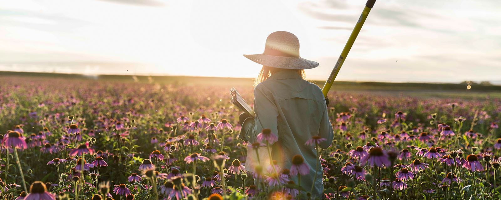 Why NUTRILITE? | Amway of South Africa